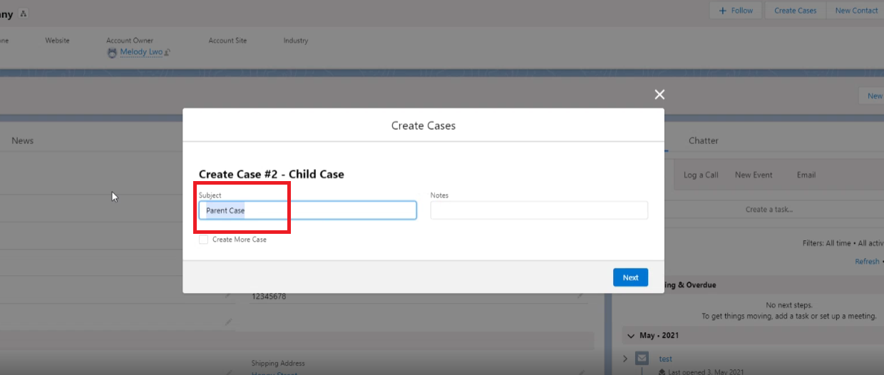 Use Case: Create Parent and Child Cases in One Flow